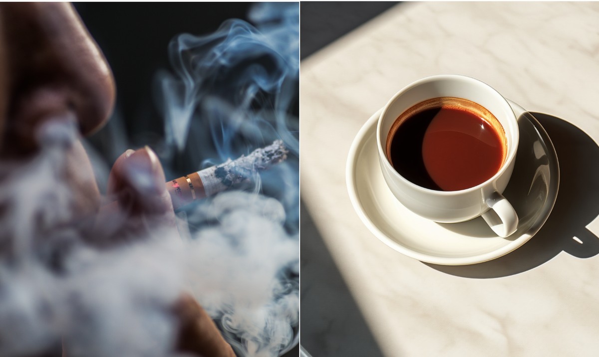 Pesquisadores brasileiros descobrem que aroma do café pode diminuir o ...