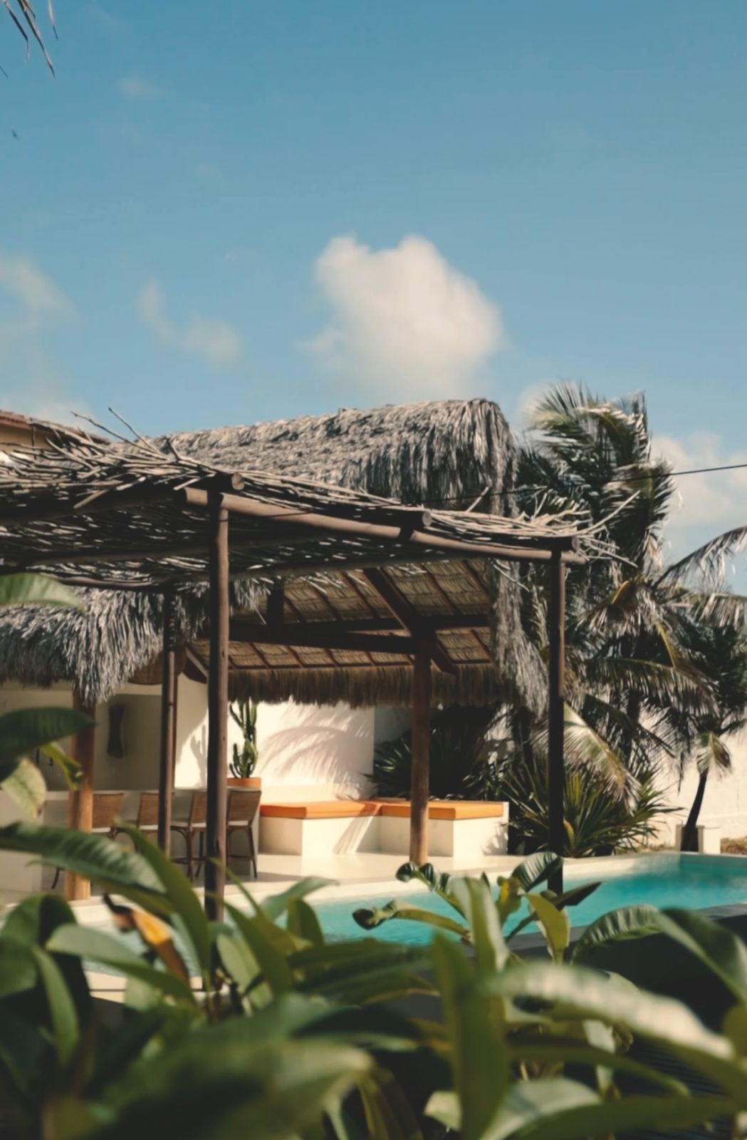 Fernando Fernandes fala da cobertura dos Jogos Paralímpicos e da sua ...