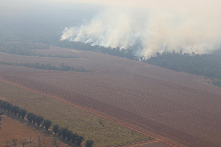 Focos de queimadas voltam a disparar em SP e atingem 72 municípios