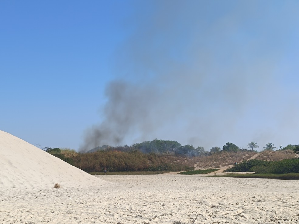 Onda de calor: clima seco faz triplicar incêndios em áreas de mata em ...