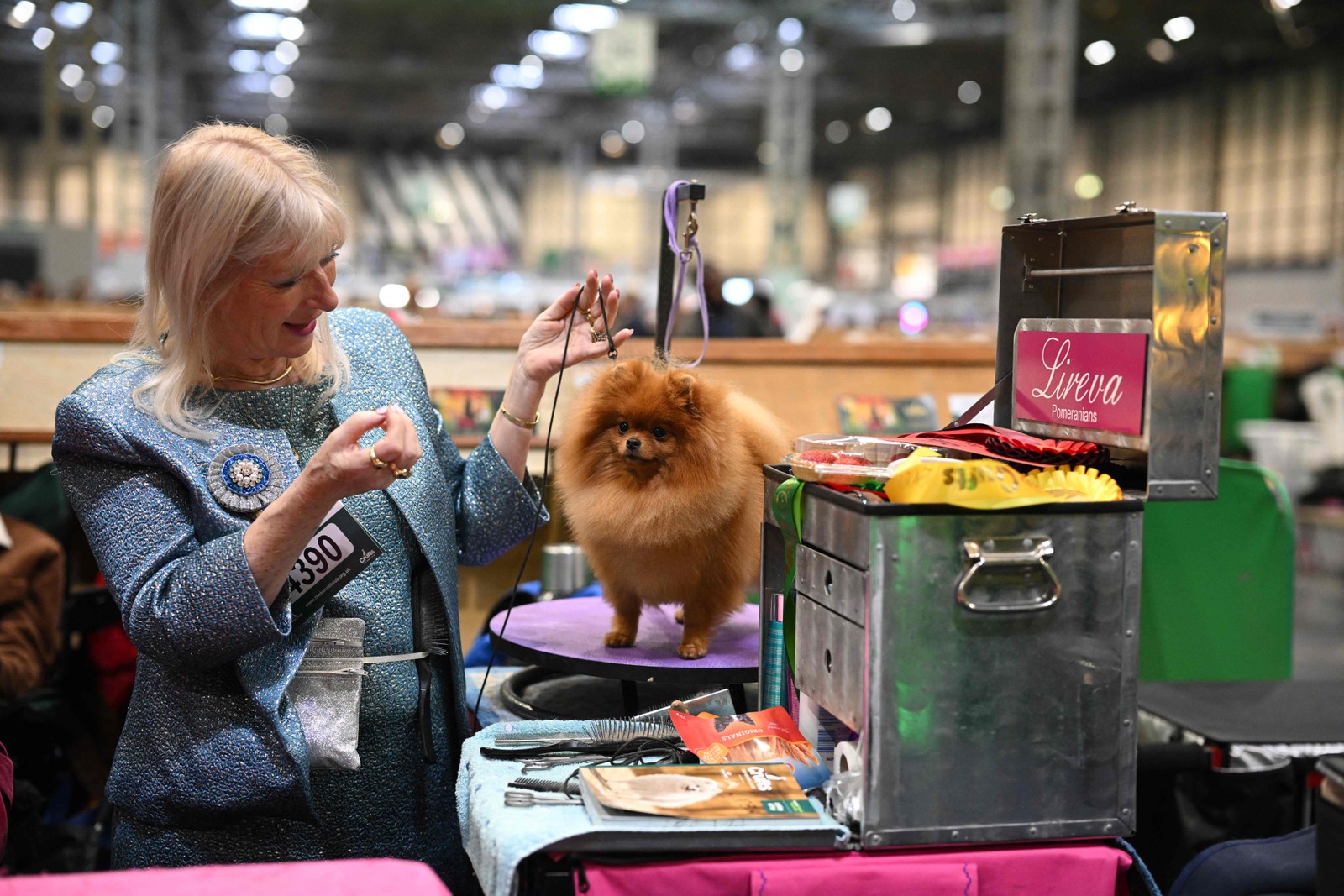 Crufts: conheça a competição canina mais prestigiada do mundo