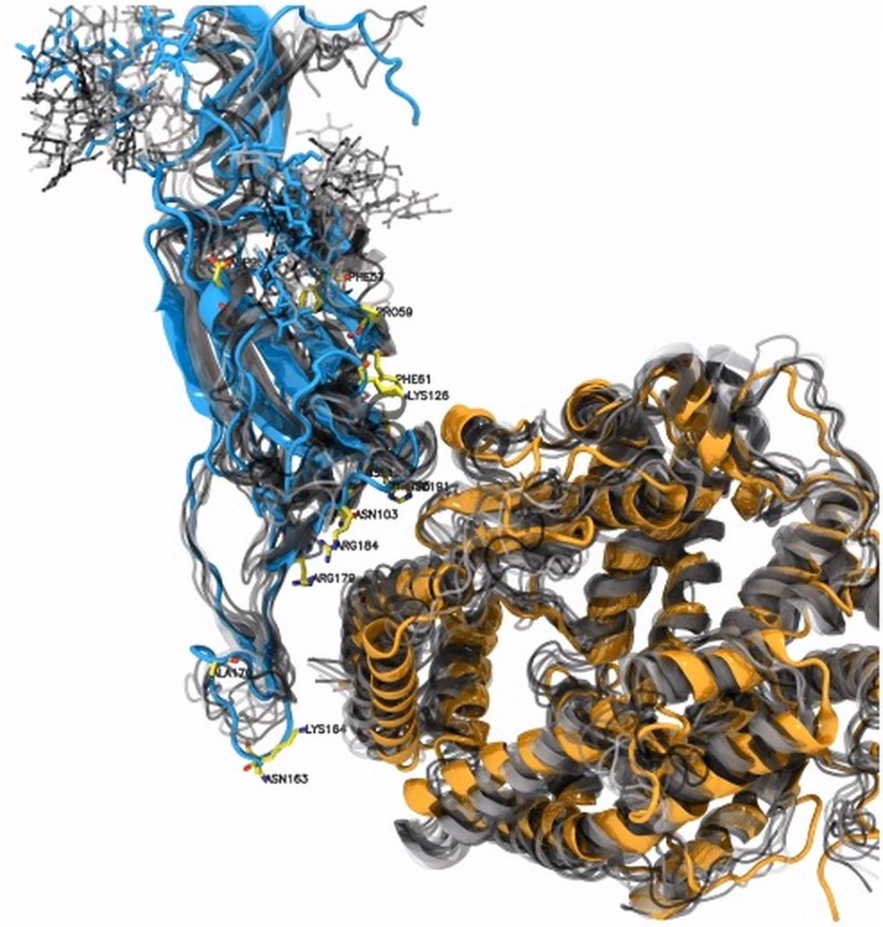 Fabricante de chips Nvidia desenvolve IA generativa que prevê novas ...