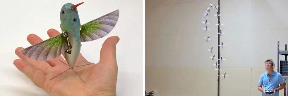 Beija-flor de guerra: cientistas estudam voo do pássaro para construir ...