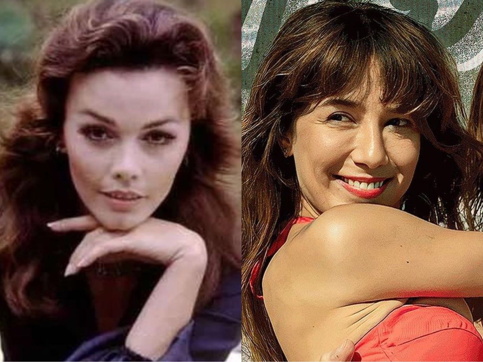 Artigo: 'Regulamentação do streaming é crucial para a proteção do ...