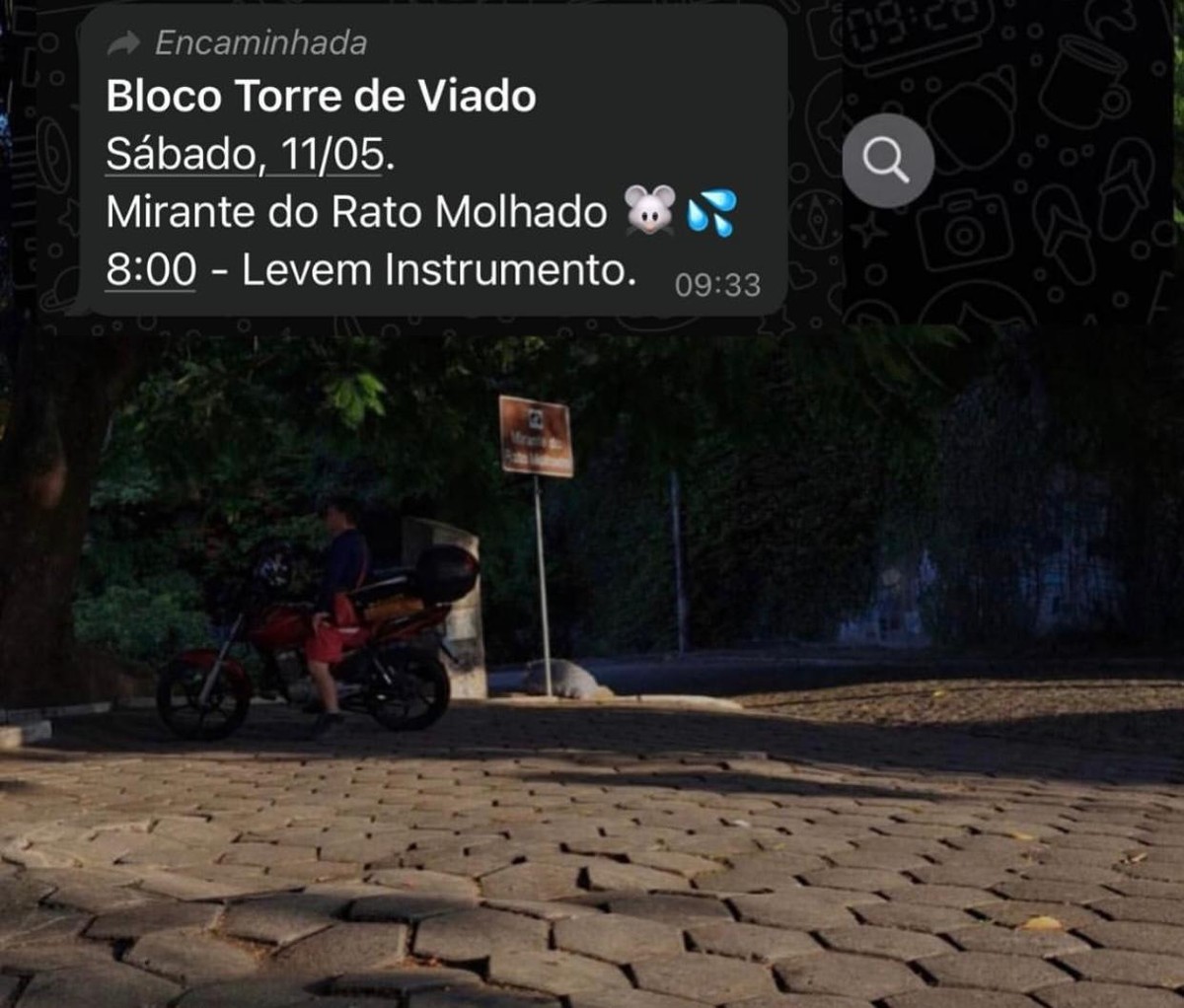 'Torre de viado': áudio que critica público de Madonna viraliza e ...