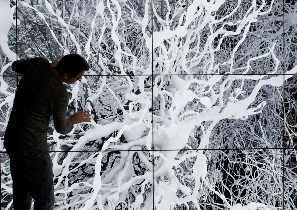 Após tratamento por pânico e ansiedade, Bruno Wainer lança streaming de ...