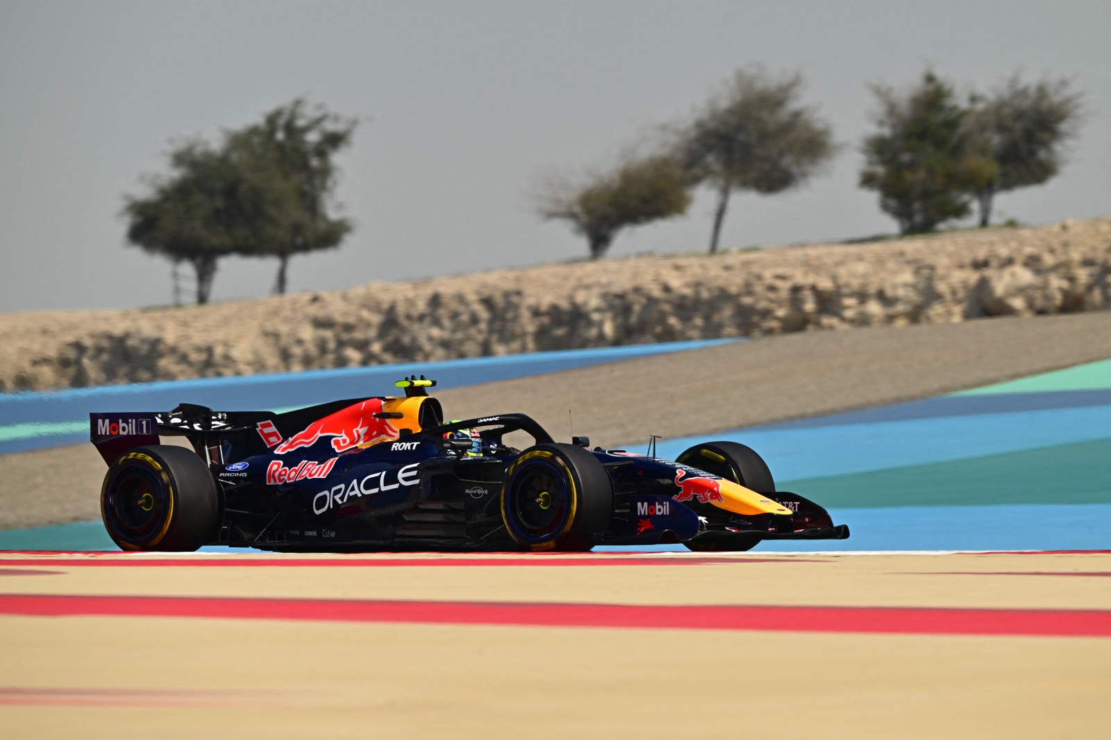 Red Bull define Oscar Piastri como substituto ideal de Verstappen