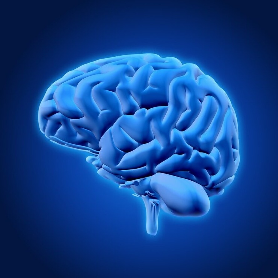 Preocupado com a saúde do seu cérebro? 12 perguntas para fazer a si ...