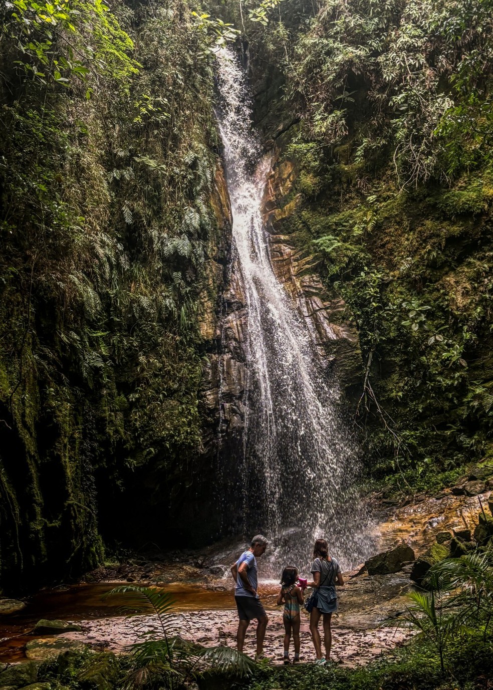 Ibiti Projeto, em Minas Gerais, alia hospedagem cinco estrelas a ação ...