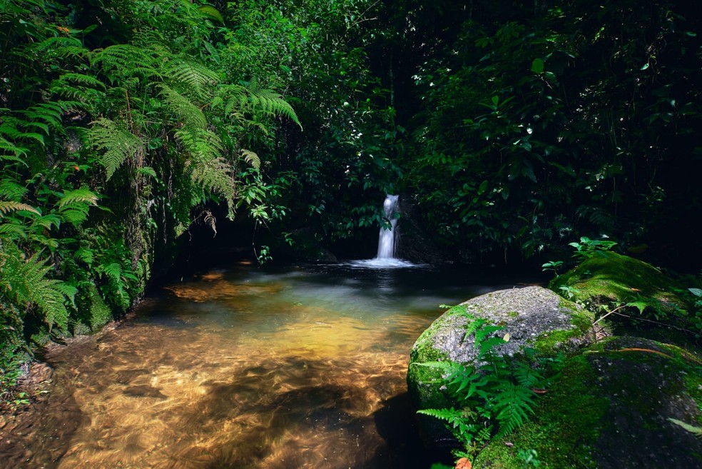 Contra invasões e queimadas: moradores farão ato para reivindicar ...