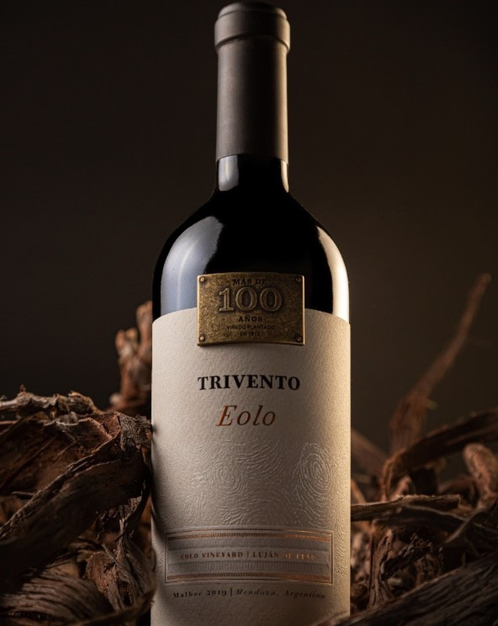 Marca de vinho argentino mais vendida do mundo, Trivento elabora Malbec ...