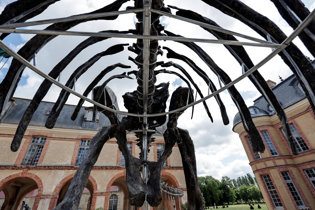 Conheça o camundongo pré-histórico que sobreviveu ao fim dos dinossauros