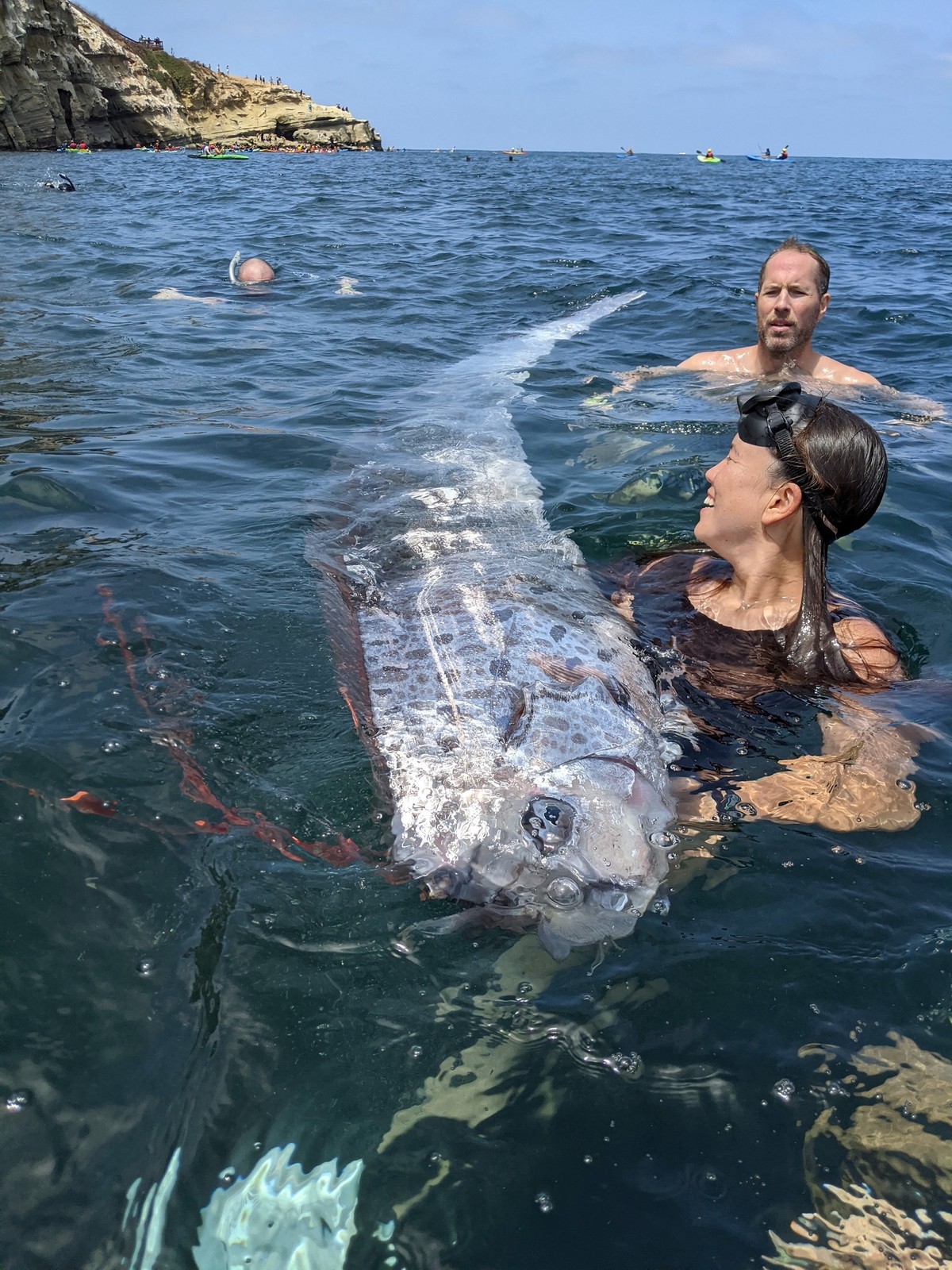 'Peixe do juízo final' é encontrado em praia na costa da Califórnia ...