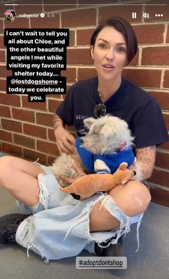 Atriz de 'Orange is the new black', Ruby Rose, reaparece depois de ...