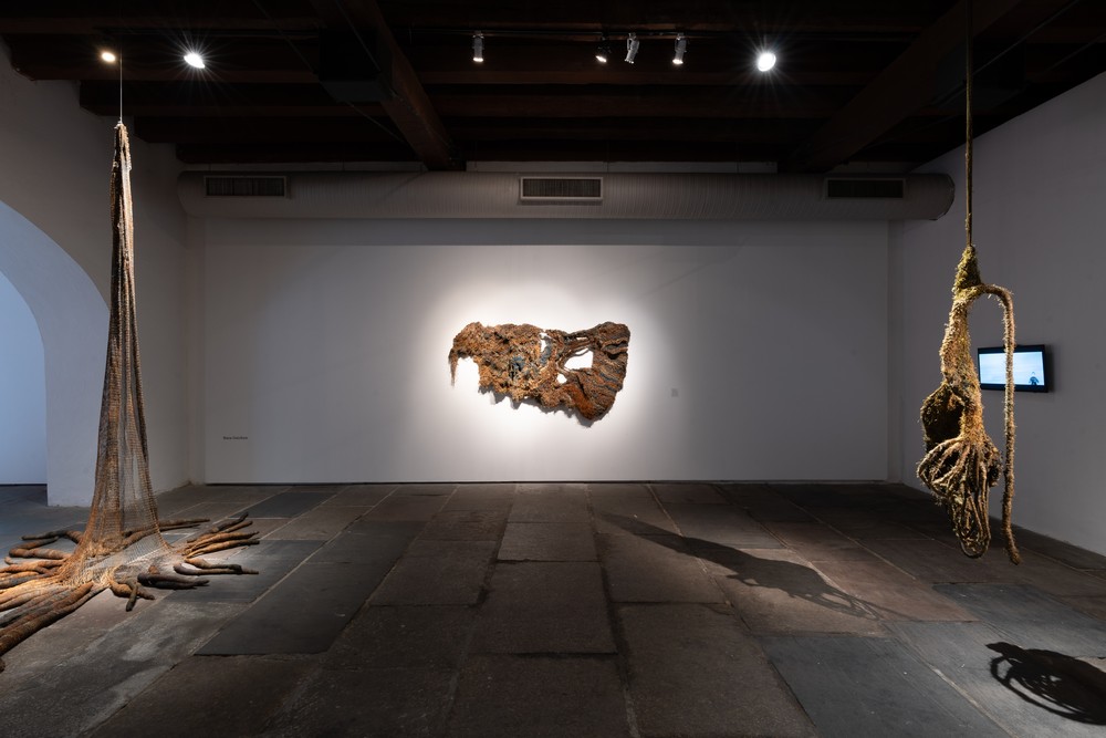 Vencedores do Prêmio Pipa 2024, Aislan Pankararu, Aline Motta, enorê e ...