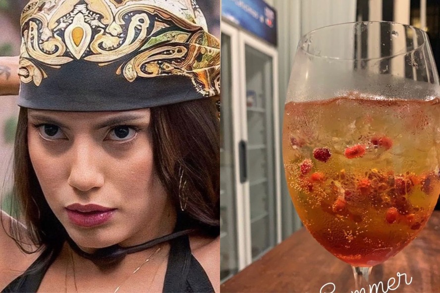 'Drink da loba': aprenda a receita da bebida preferida de Fernanda ...