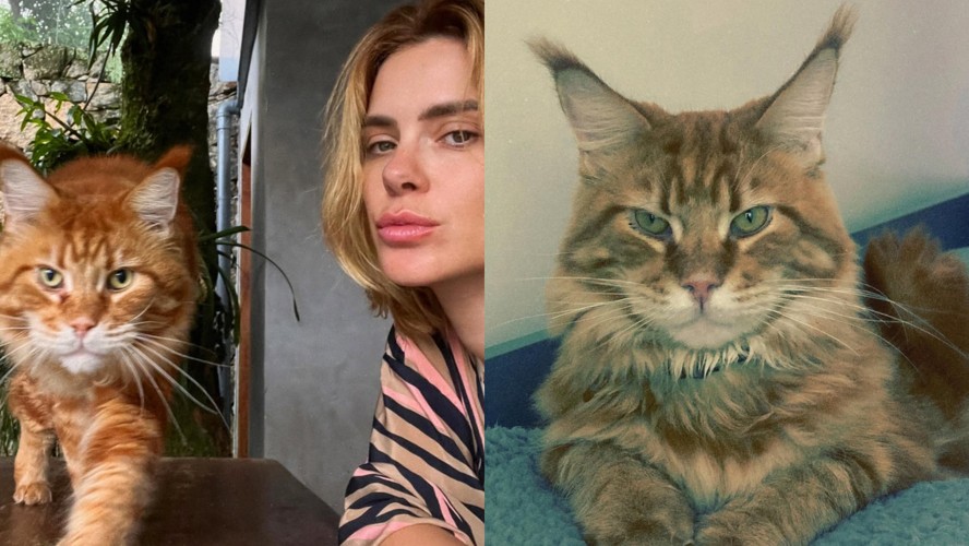 Parecidos? Carolina Dieckmann chama atenção de fãs ao postar fotos com ...