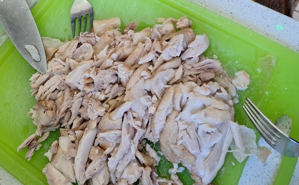 Cachorra é resgatada após passar sete anos vivendo em uma floresta na ...