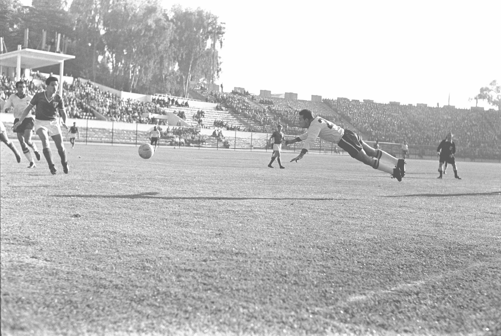 Zagallo eterno: relembre a carreira do Velho Lobo em 13 fotos