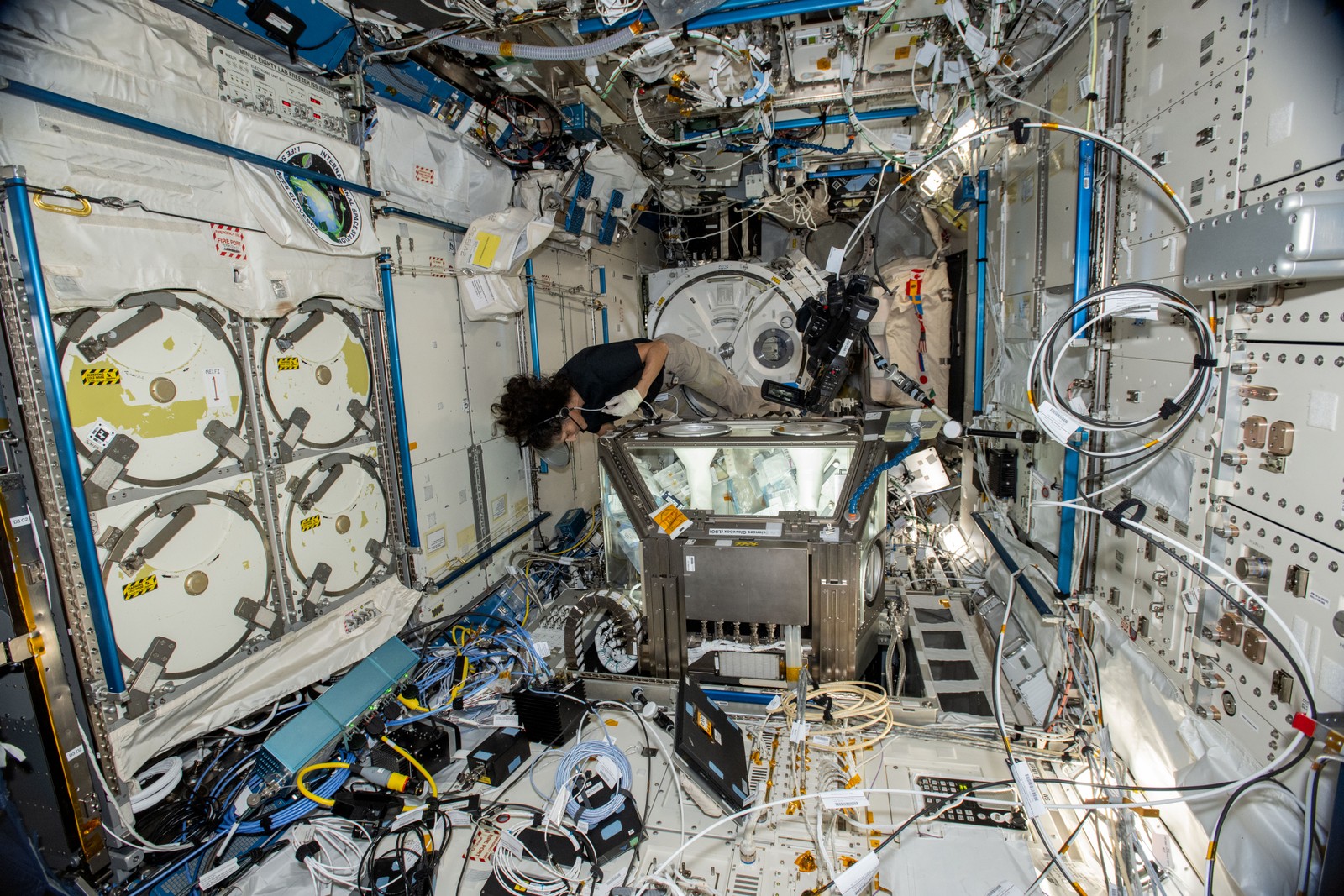 Retorno de astronautas da Nasa por condição médica antes do previsto já ...