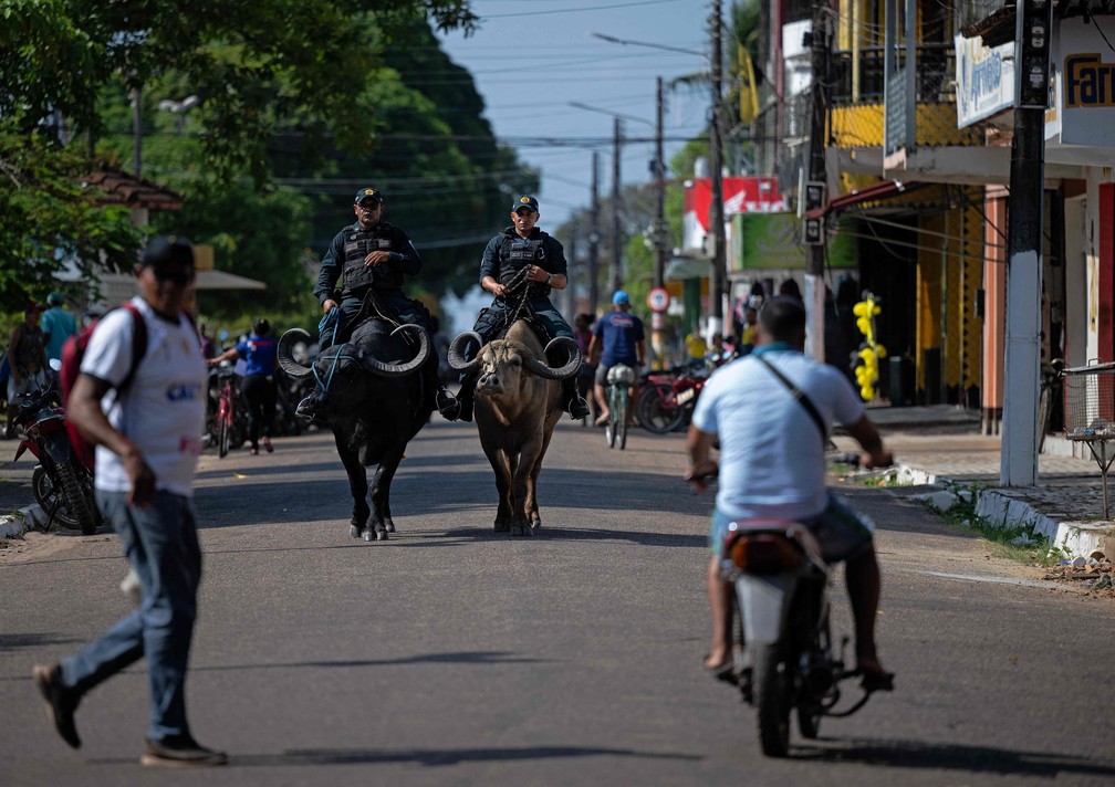 Pm Realiza Policiamento Com Búfalos Na Ilha De Marajó No Pará Veja Fotos