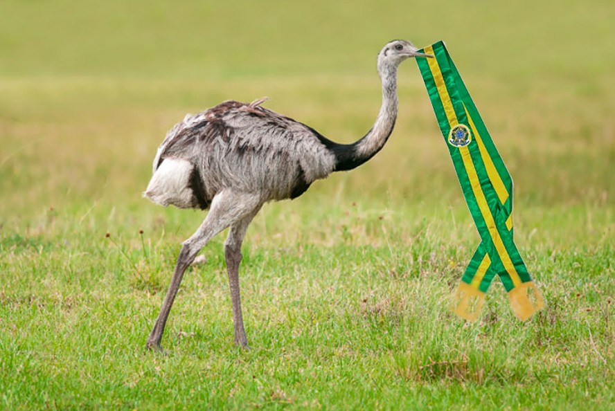 Ema do Alvorada é treinada para passar a faixa presidencial para Lula