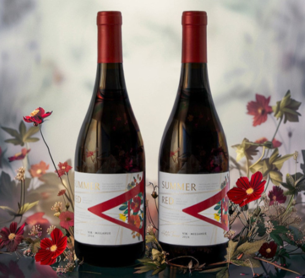 Spritz Time no Massa+Ella; blend da VIK para o verão; descontos em vinhos na World Wine; veja ...