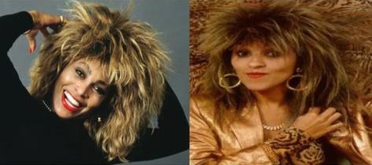 Regina Casé, que viveu personagem inspirado em Tina Turner, fala da ...