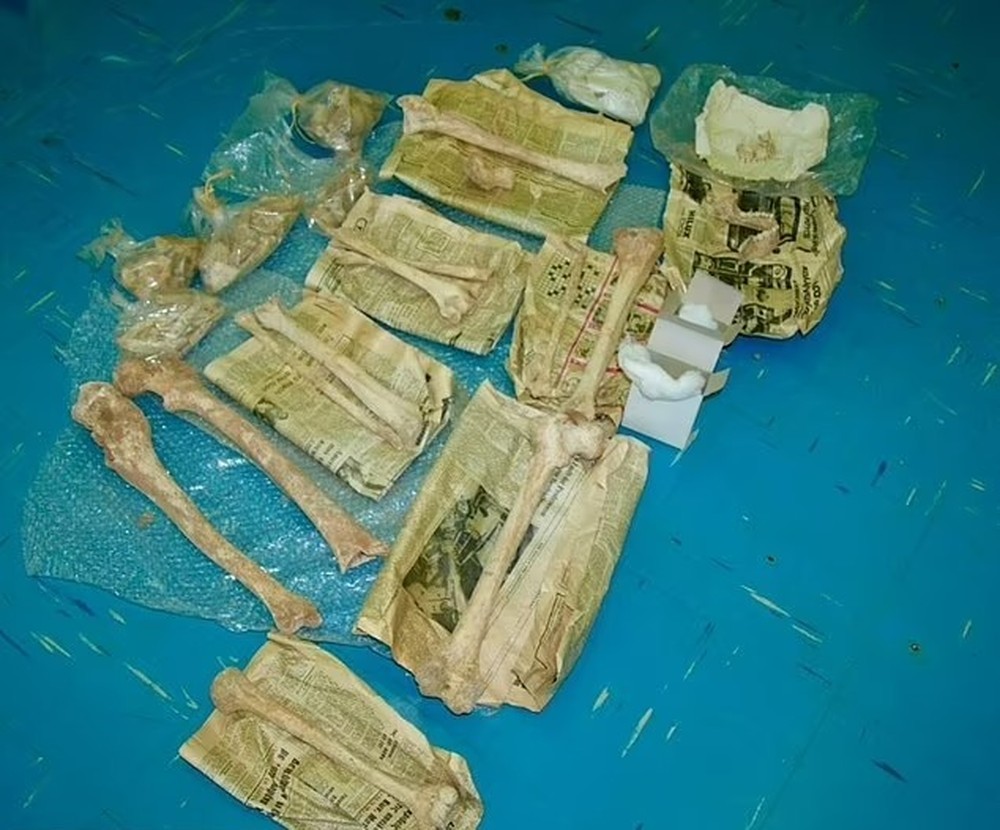 Pai de Alexandre O Grande: Restos mortais encontrados em tumba na ...