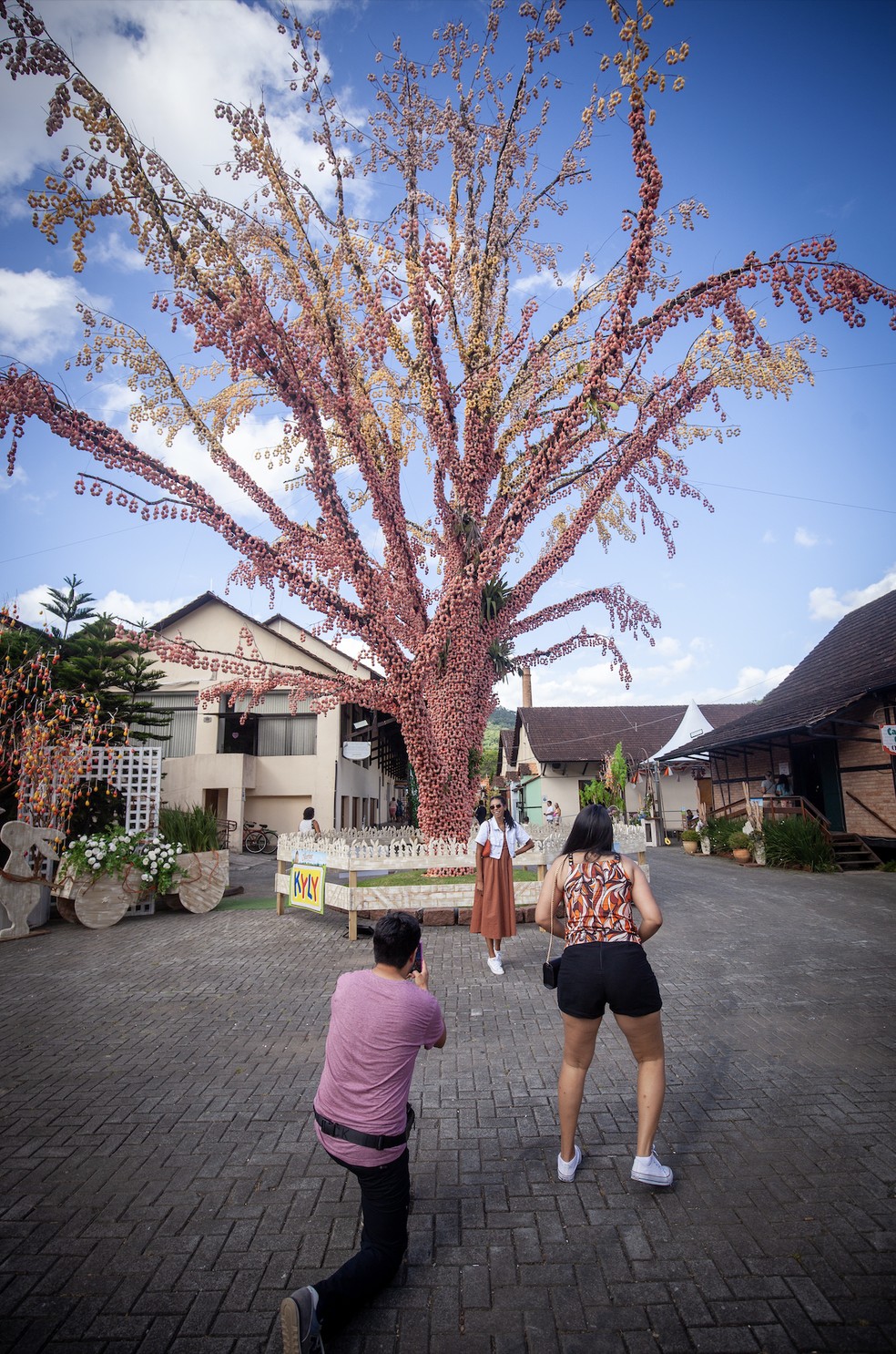 Com maior ovo decorado do mundo, cidade de Pomerode aposta na tradição ...