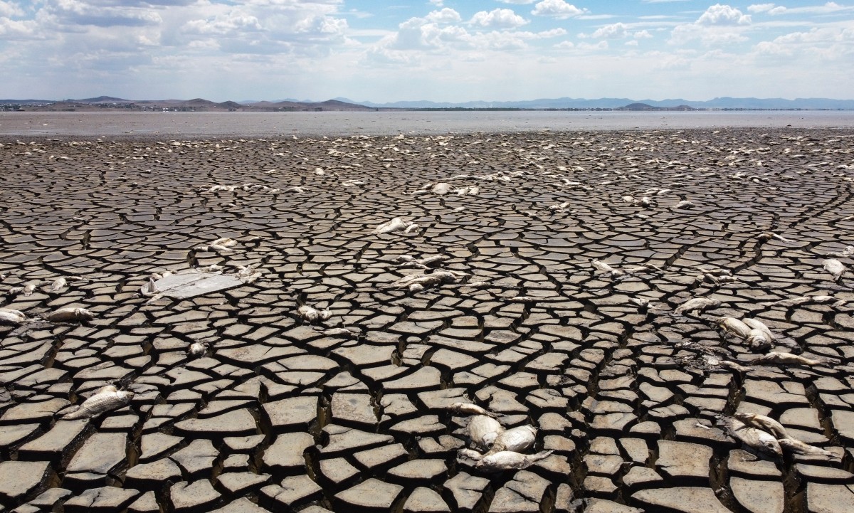 Áreas de seca extrema triplicam de tamanho desde a década de 1980; entenda