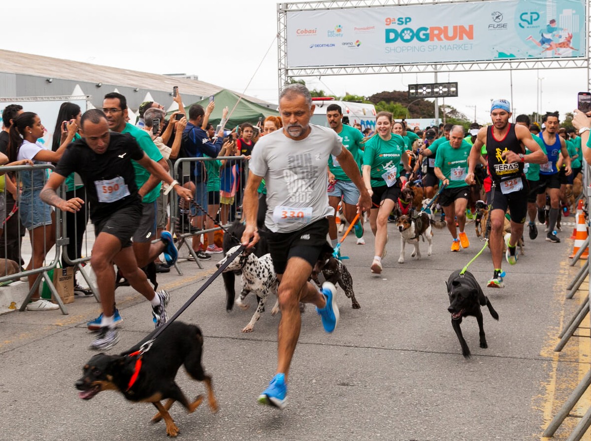 Pet Run chega à décima edição com ativações para cachorros e tutores