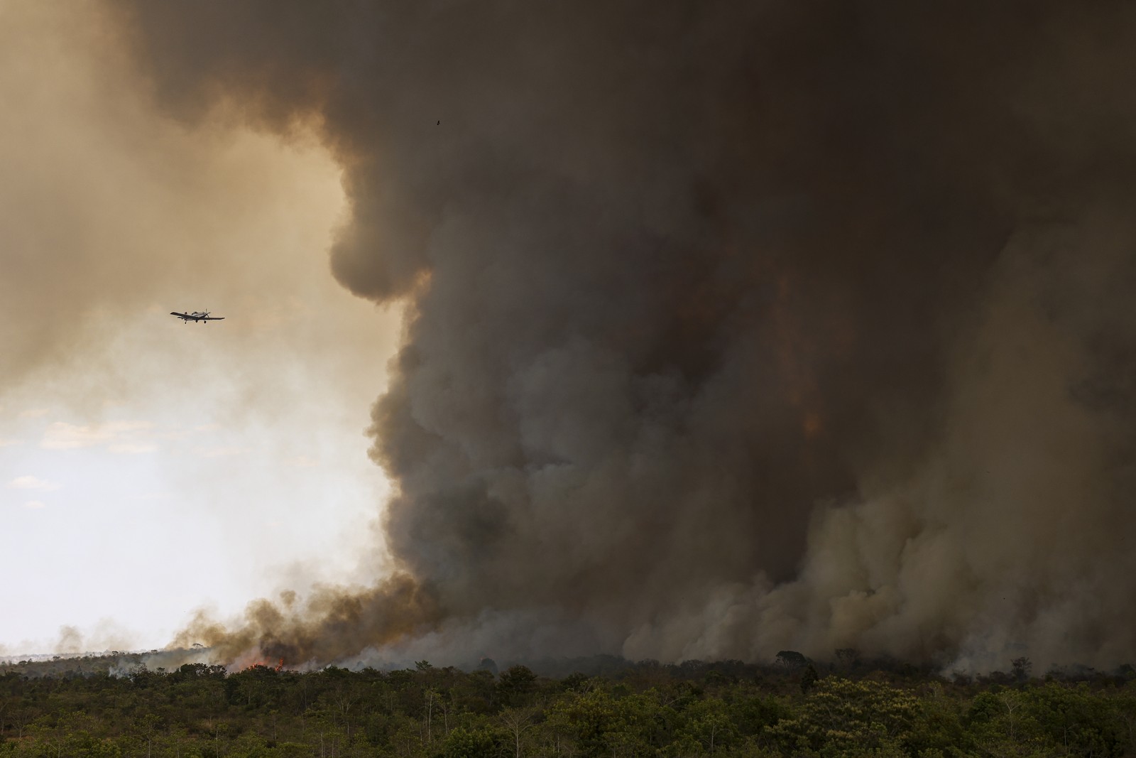 Incêndio de grandes proporções atinge dezenas de casas no litoral de SP ...