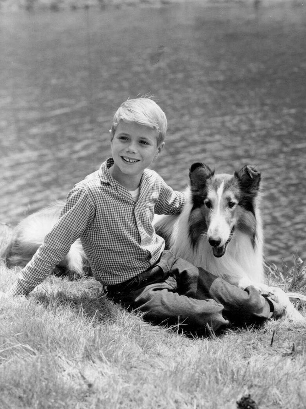 'Lassie era macho': a verdade por trás do cachorro mais famoso da TV
