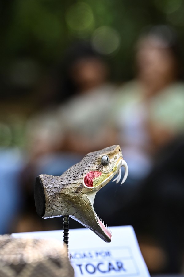 Sem recursos, urina de veado e gasolina viram remédio perigoso para ...