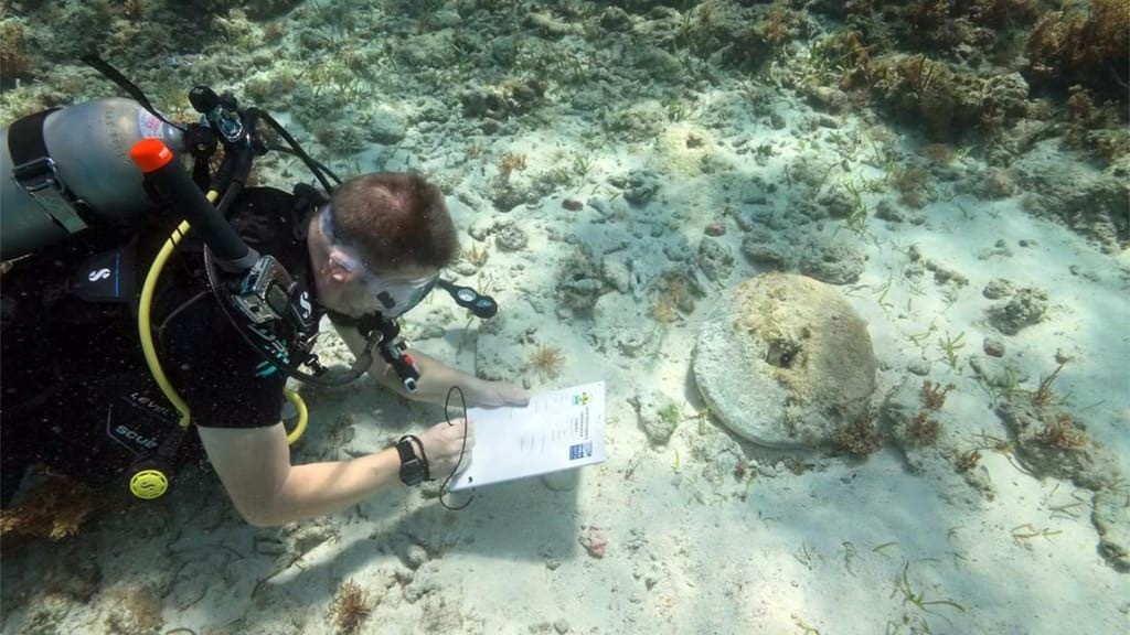 Mergulhadores encontram seis navios da era dos piratas do Caribe nas ...