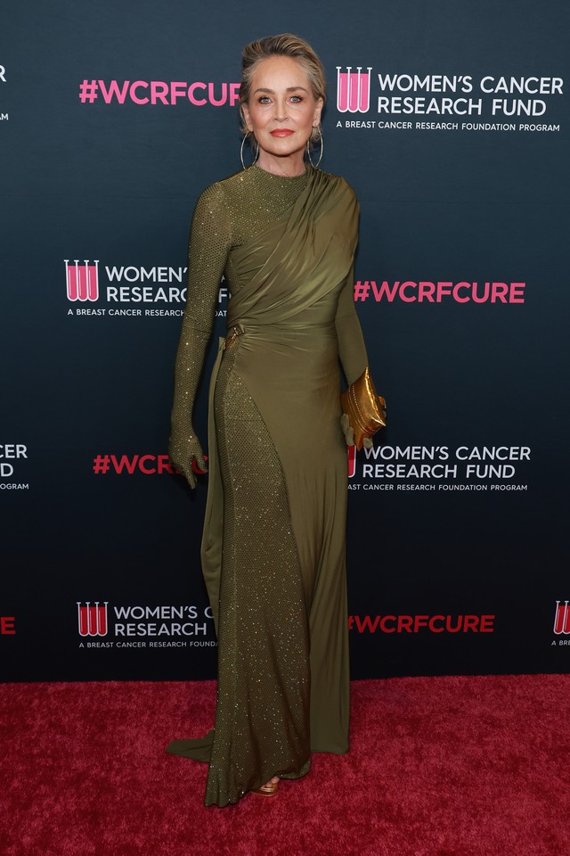 Sharon Stone fala sobre sua cirurgia de tumor de mama: 'Não sou ...