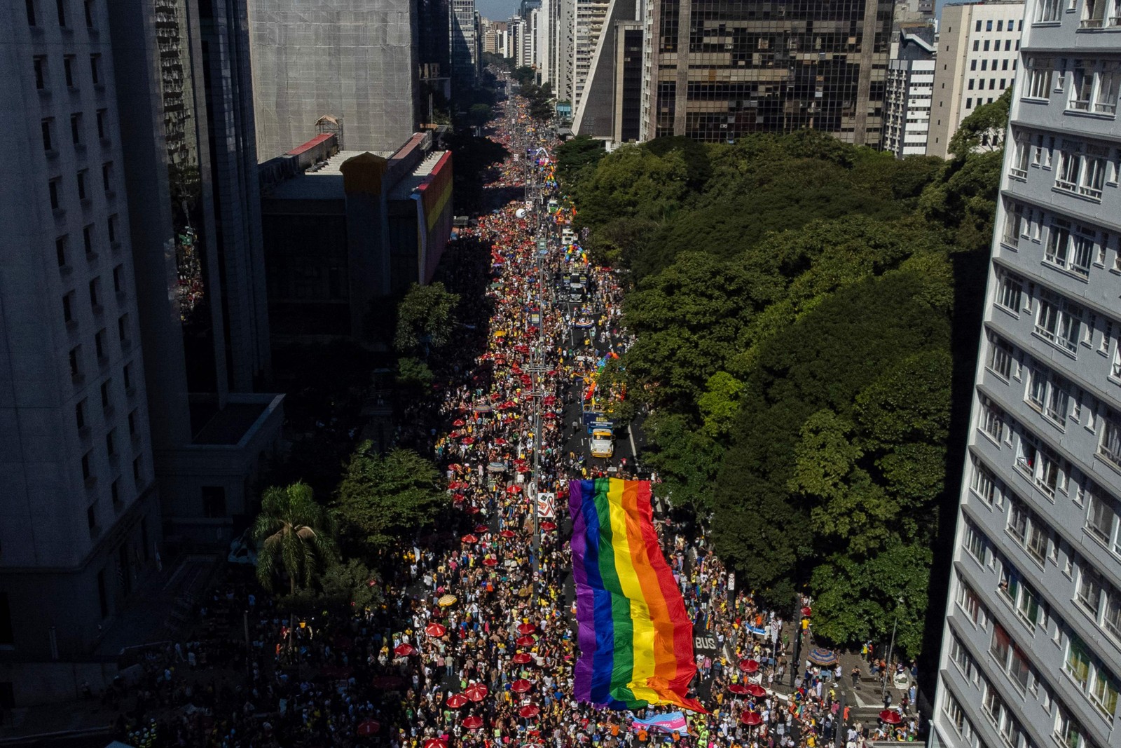 Fotos: Parada LGBTQIA+ de São Paulo reúne público de verde e amarelo na ...