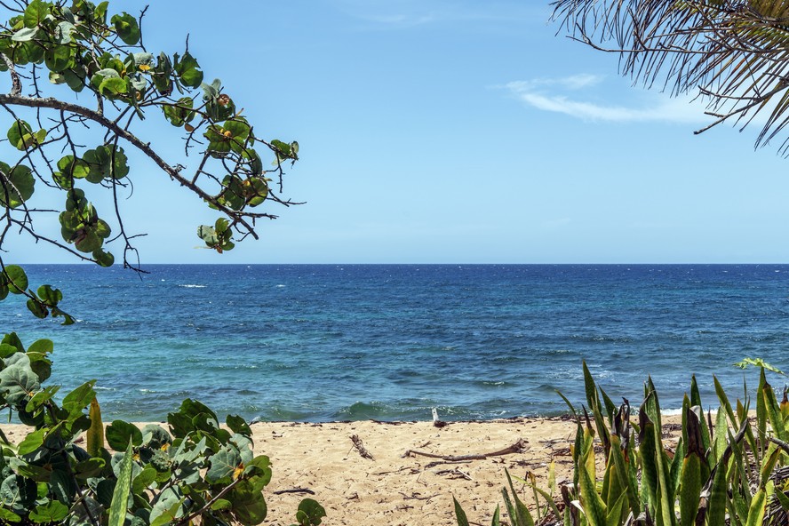 Em busca da 'Praia Perfeita': uma viagem pela costa norte de Porto Rico