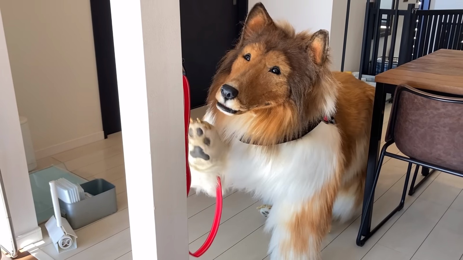 Japonês que pagou R$ 72 mil em fantasia realista de cachorro faz ...