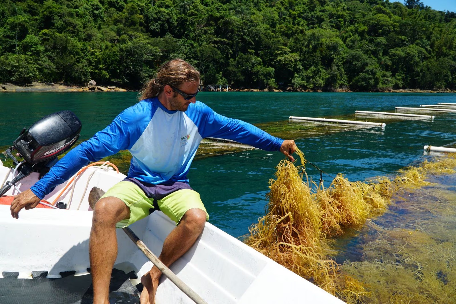 COP 30: indígenas da América Latina e da Oceania vão a Brasília contra ...