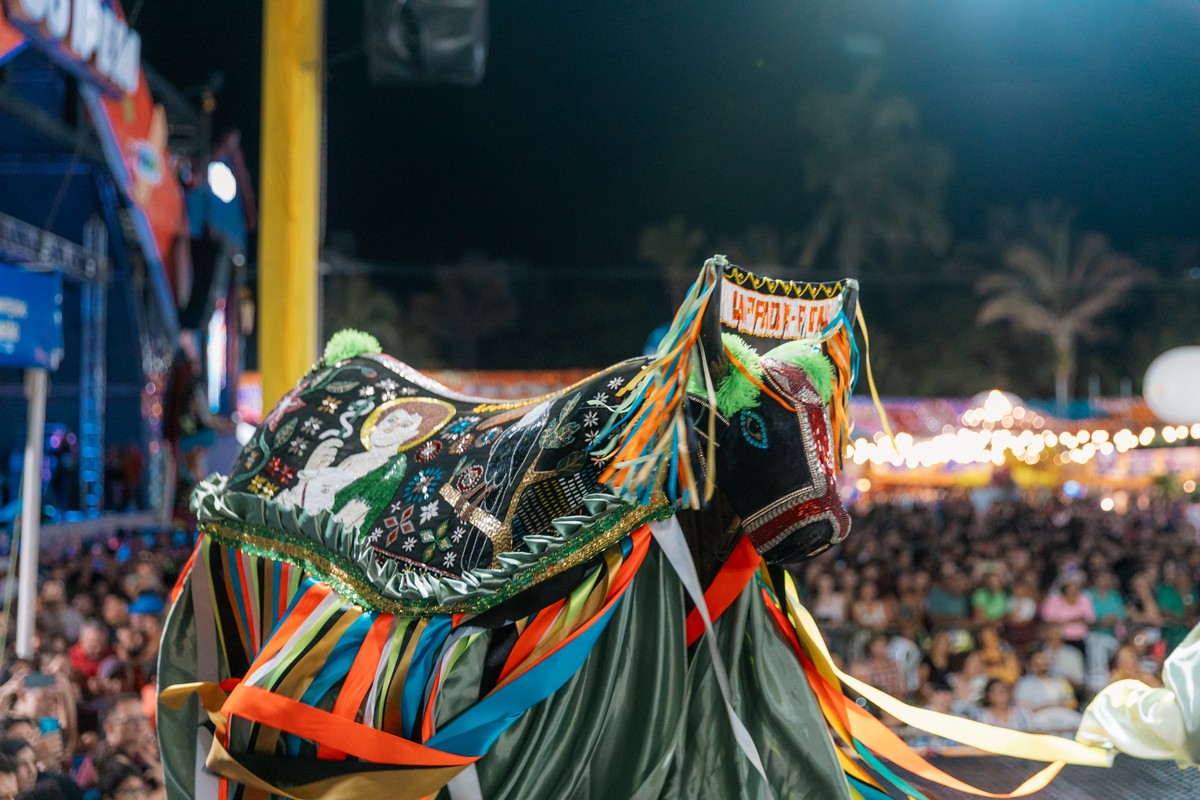 Bumba Meu Boi, matracas e turismo embalam 60 dias de São João no ...