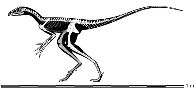 Garras de foice, bico de caça e escaladas em árvores: novo fóssil ...