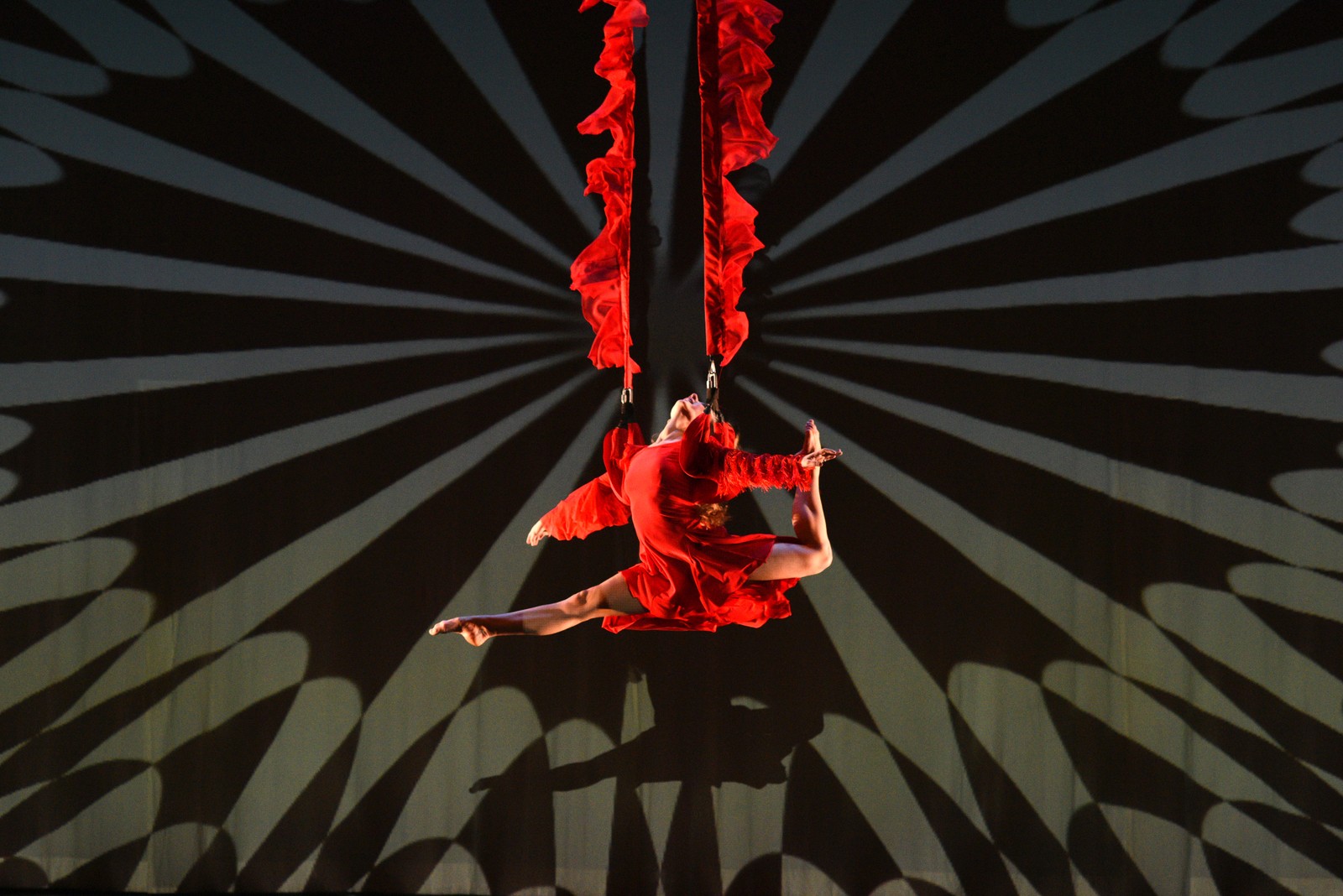 'Alice no País das Maravilhas': como é o novo espetáculo do Momix, que ...