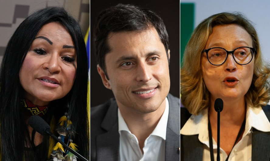 Bambu, hip hop e carnaúba: número de frentes parlamentares do Congresso ...