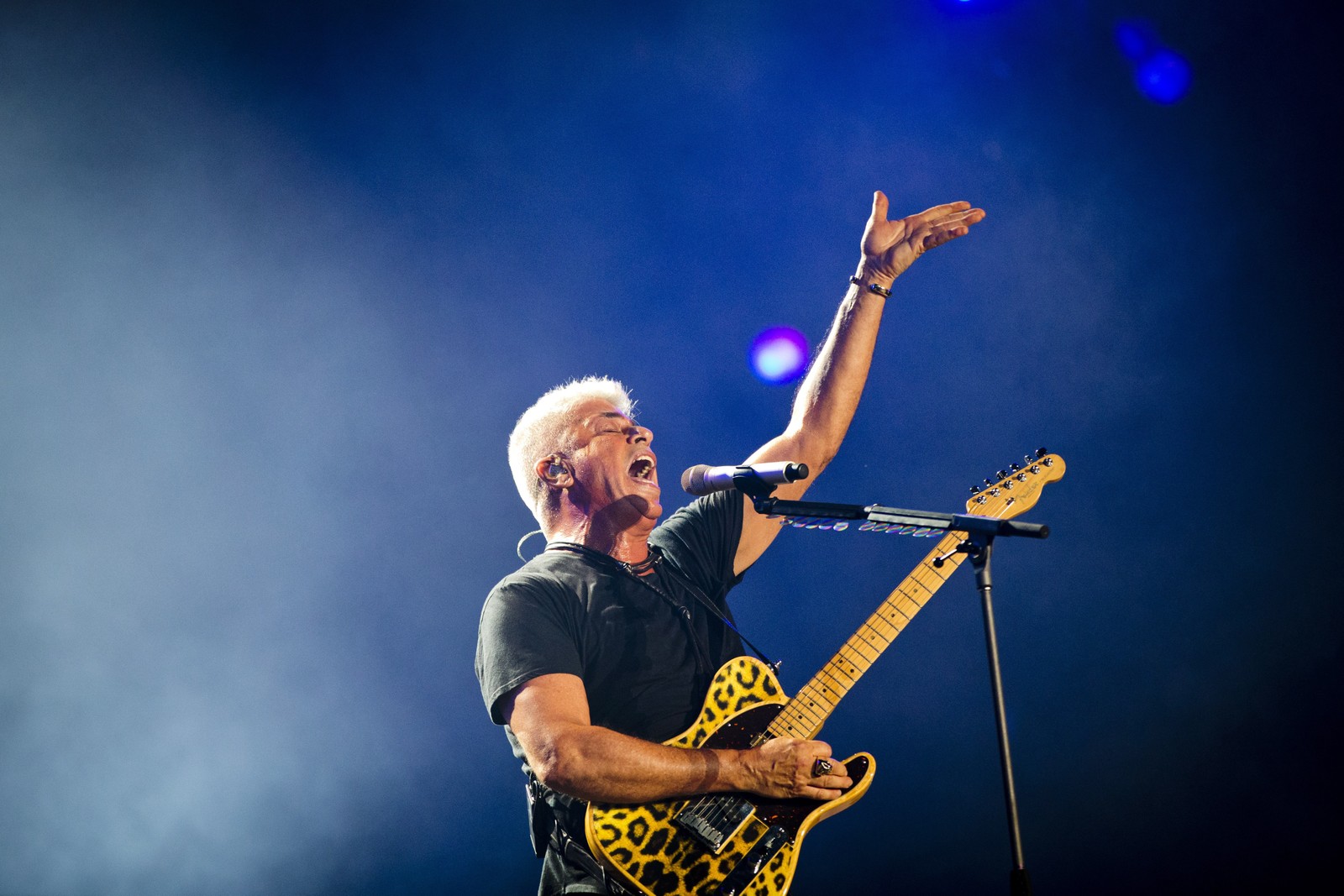 Erika Mader fala do retorno à cobertura do Rock in Rio após 12 anos ...