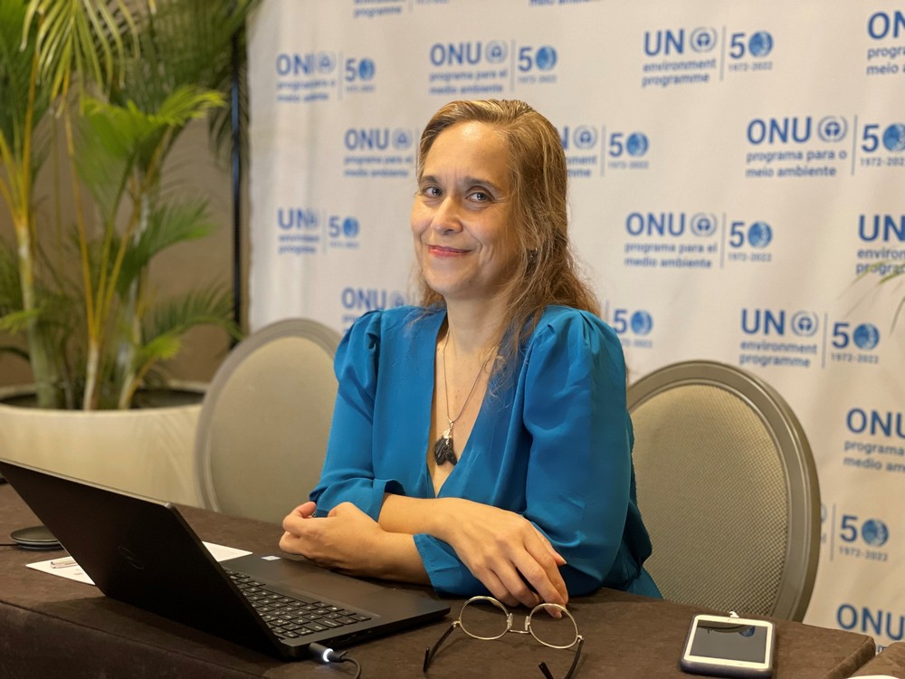 'O ser humano está em perigo', adverte diretora do programa da ONU para ...