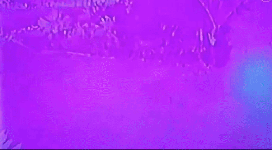 Vídeo mostra momento de acidente que deixou dezenas de mortos em MG; assista