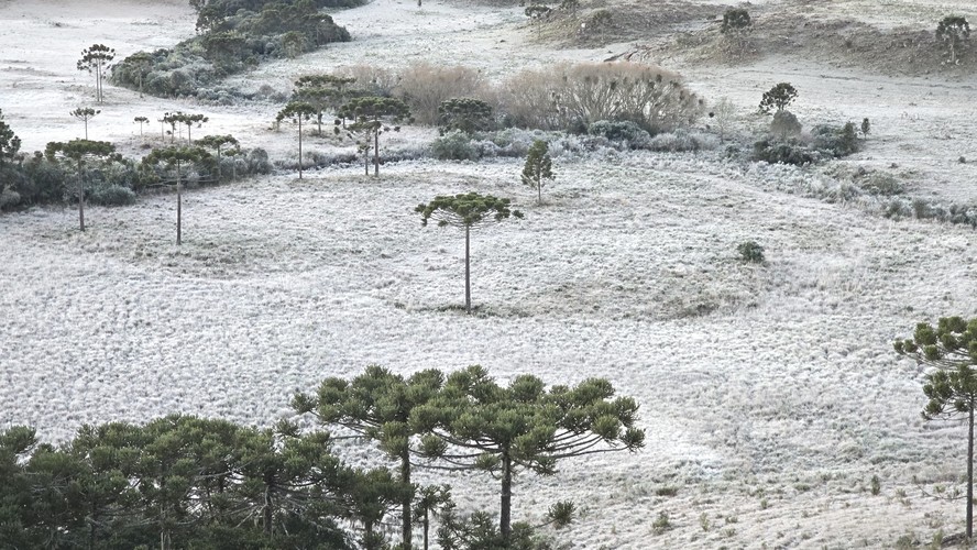 Inmet alerta para geadas no Sul e vendavais no Nordeste; veja previsão