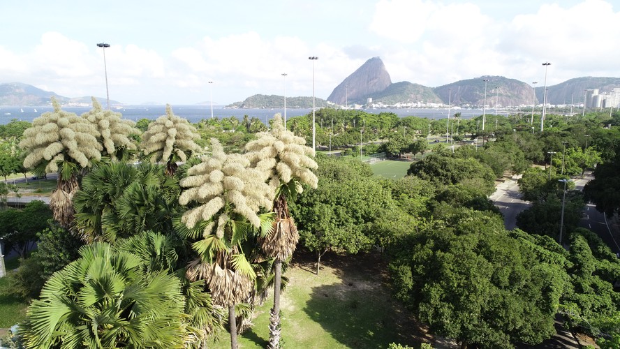 Do Aterro do Flamengo à Pavuna: conheça os parques mais visitados no Rio